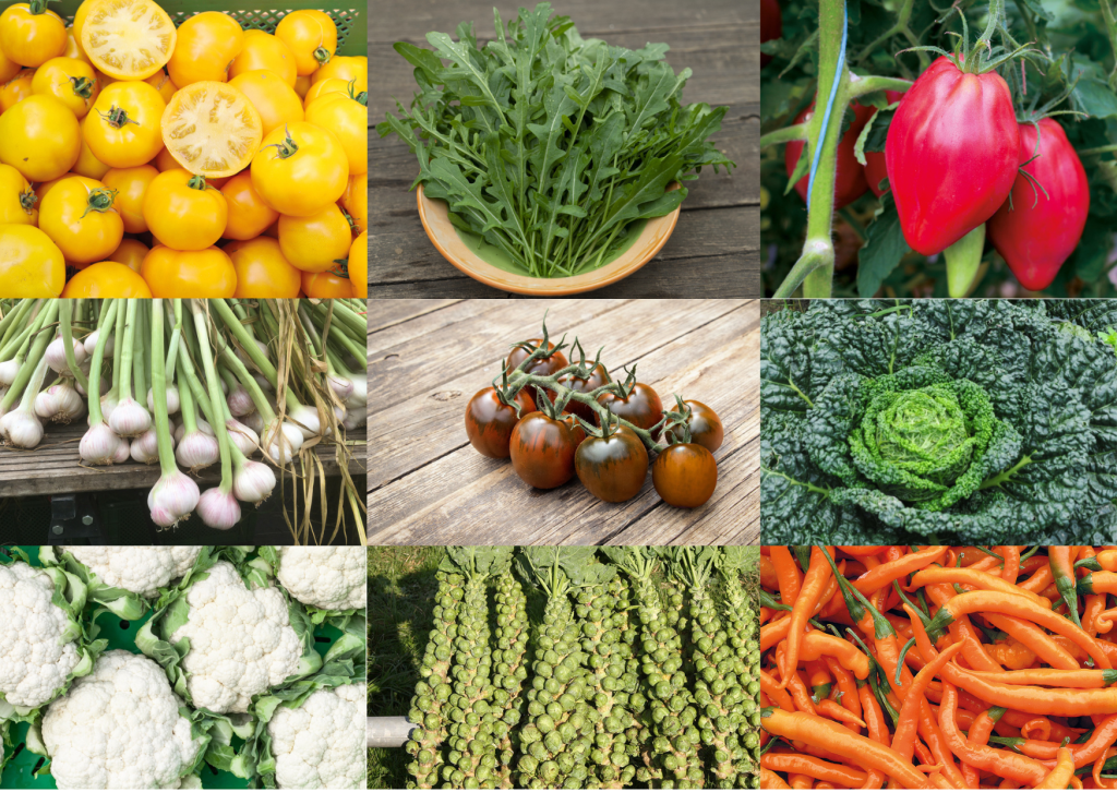 37 neue Sorten mit bioverita-Zertifizierung | bioverita – Bio von ...